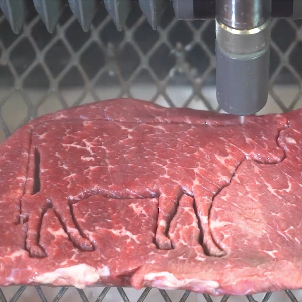 Our Love of Meat and Making - WAZER